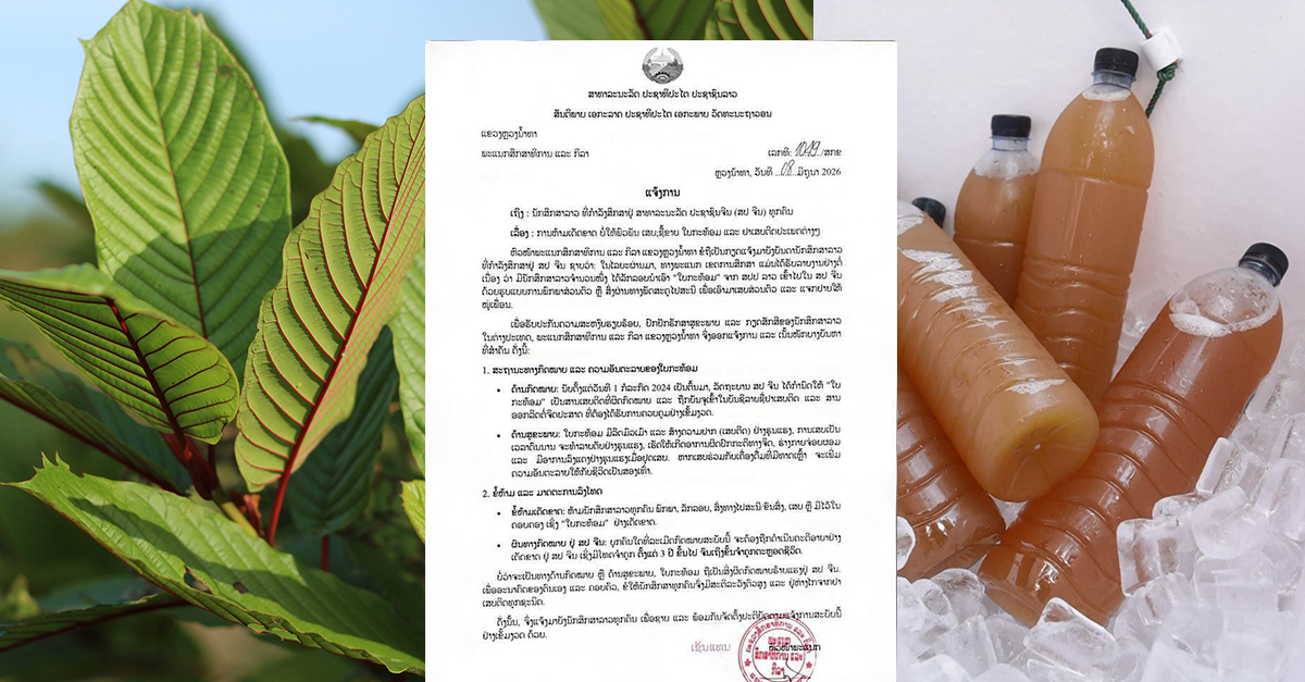 Luang Namtha Authorities Warn Lao Students in China Against Kratom ...